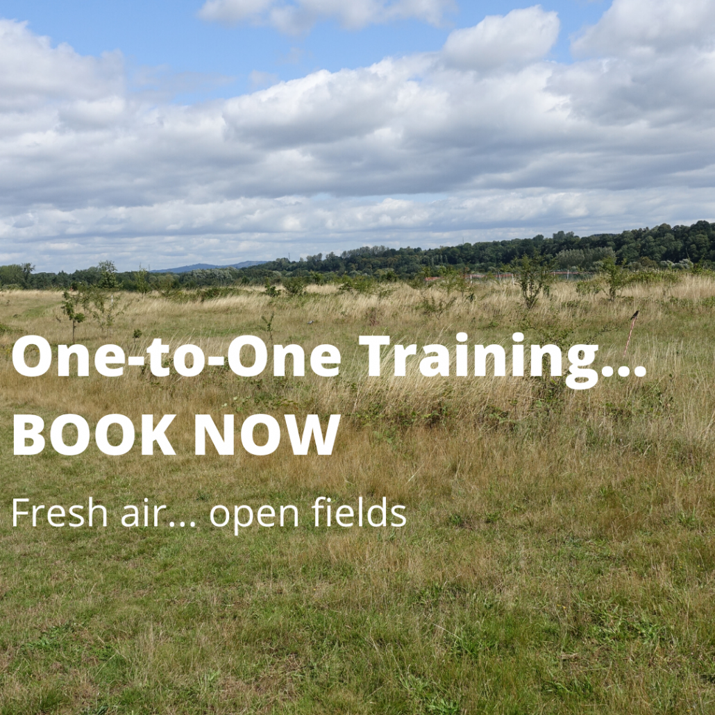 Announcing... One-to-One Training Bookings... NOW OPEN! - Fortiscorde ...